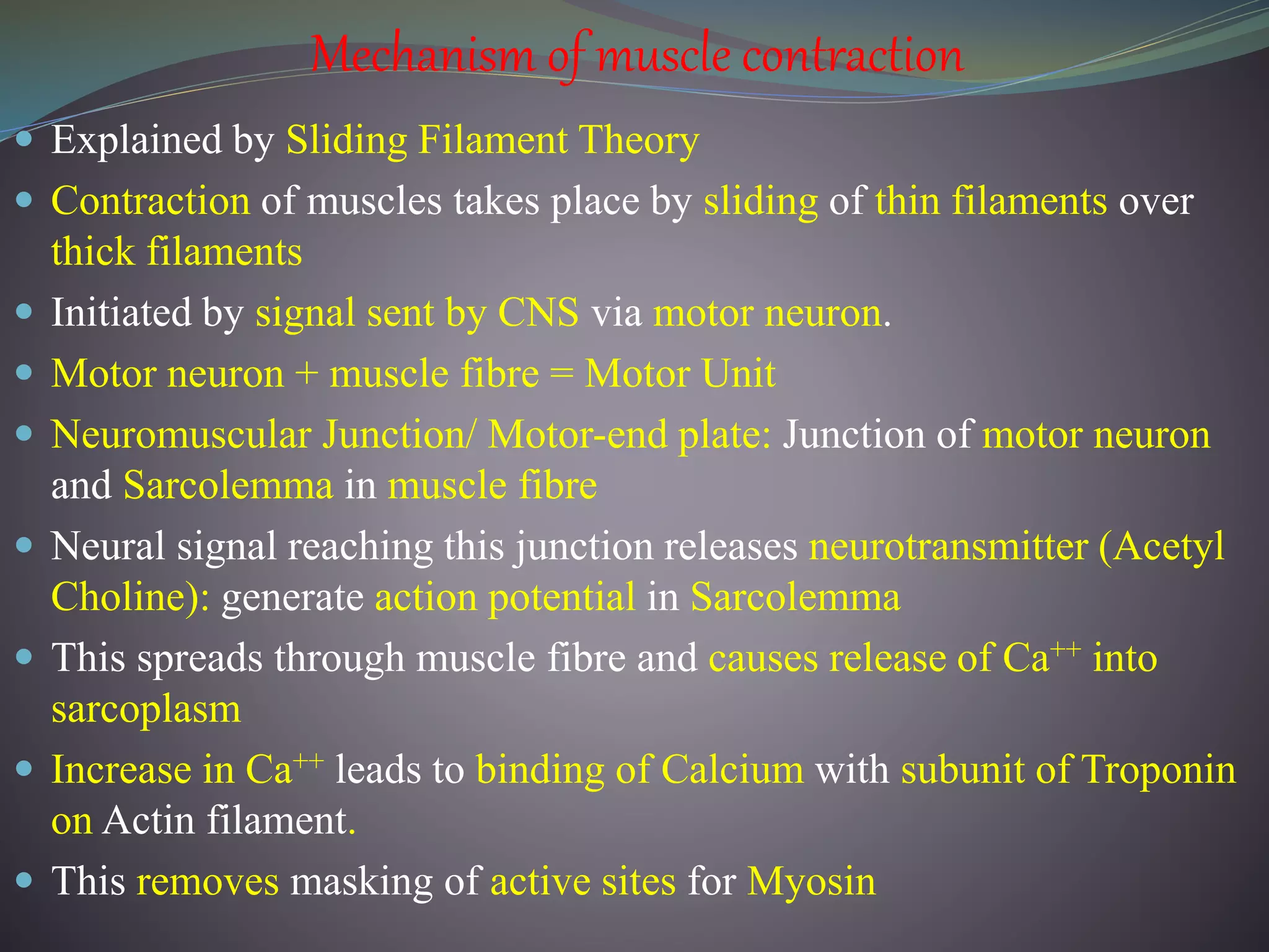 Locomotion and movement In Humans | PPTX