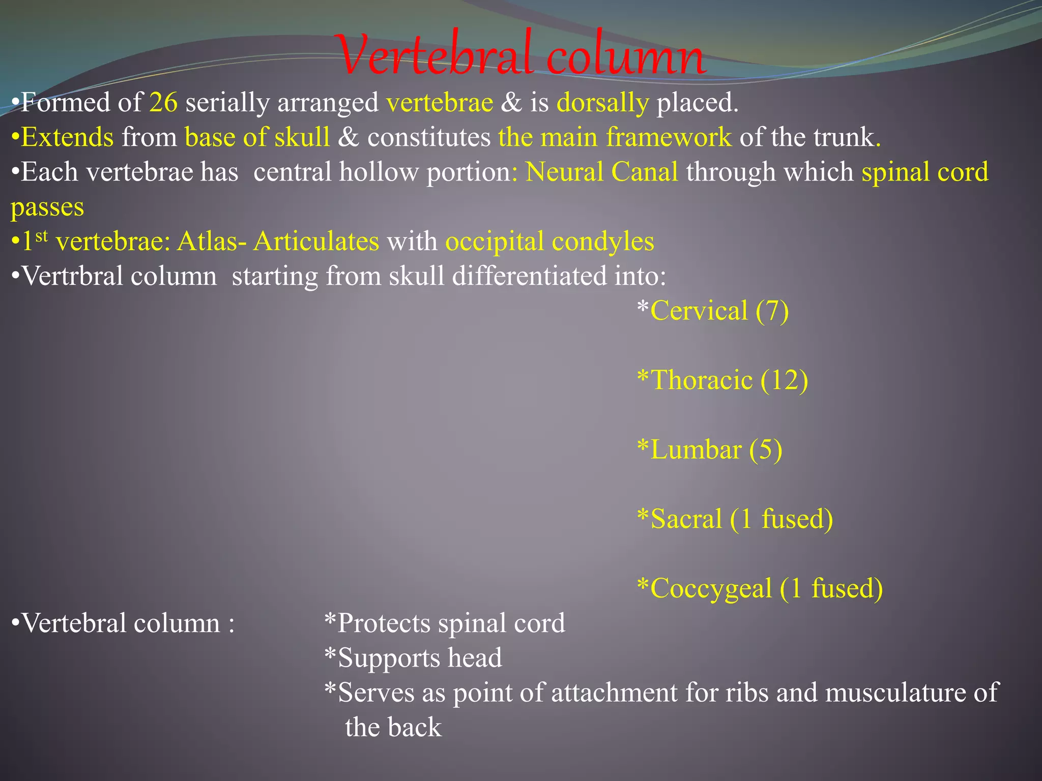 Locomotion and movement In Humans | PPTX