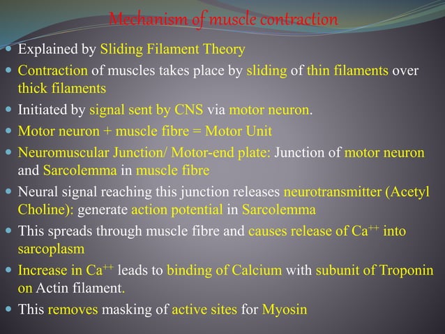 Locomotion and movement In Humans | PPTX | Death, Injury, or Military ...