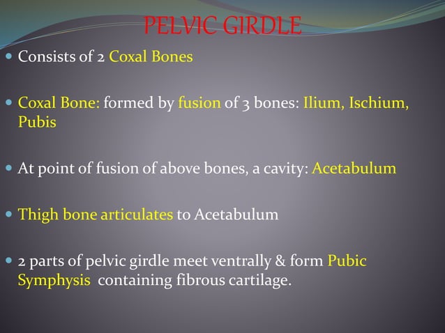 Locomotion and movement In Humans | PPT