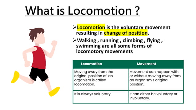 Locomotion and movement | PPT