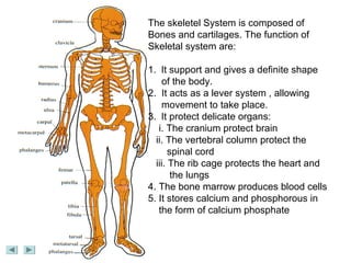 Locomotion and support | PPT