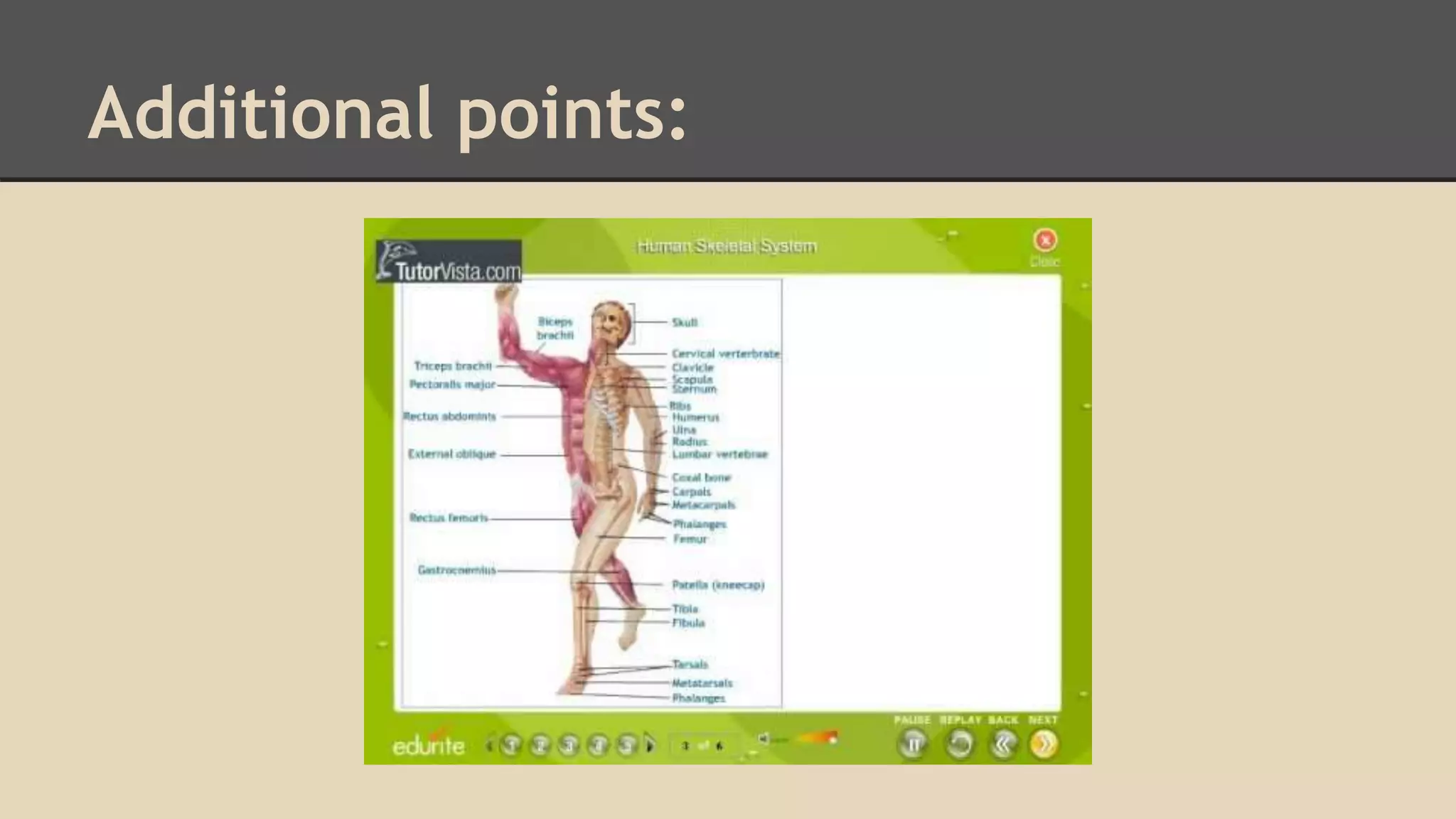 Locomotion and support | PPTX