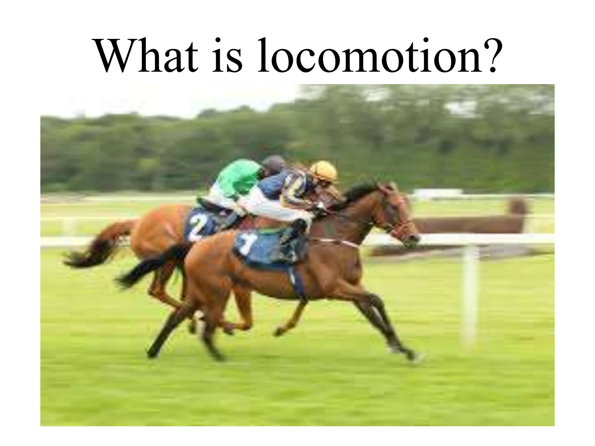 Locomotion definition and importance for organisms | PPT