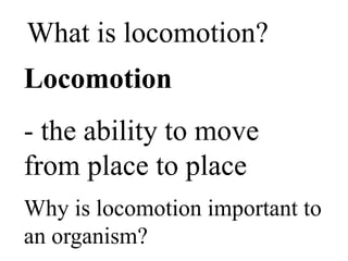 Locomotion definition and importance for organisms | PPT