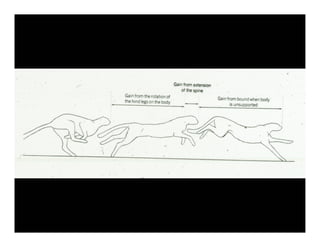 Animal Movements guide for animators by sumida | PPT