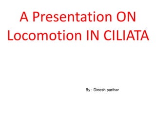 Locomotion In Ciliata.ppt