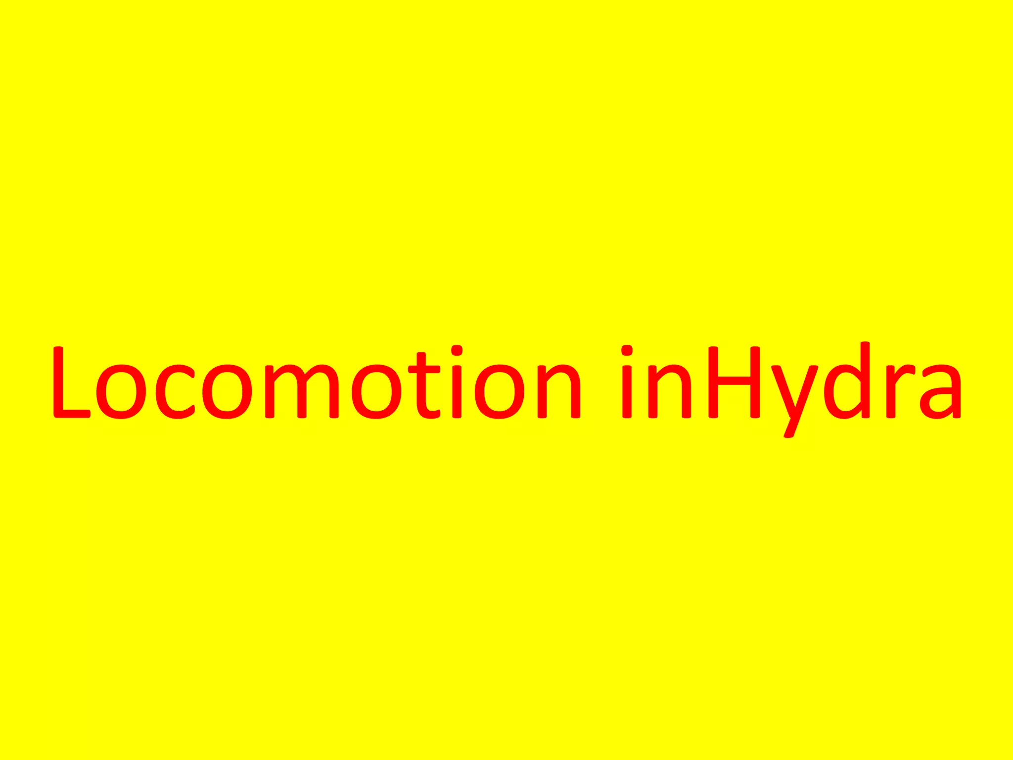 Locomotion in hydra | PPTX