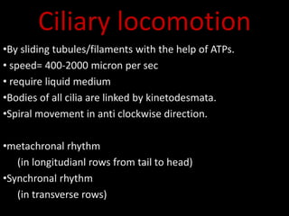 Locomotion in protozoa | PPTX