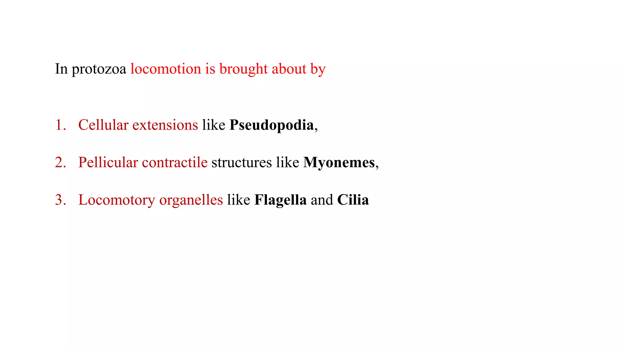 locomotion in protozoa.pptx