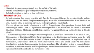 locomotion in protozoa.pptx