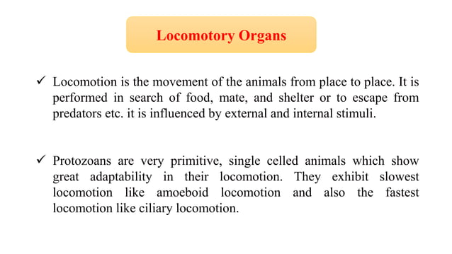 locomotion in protozoa.pptx | Biological Sciences | Science