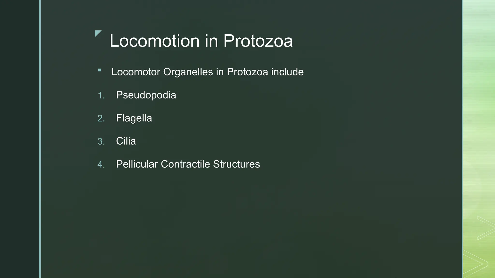 Different methods of Locomotion in Protozoa.pptx