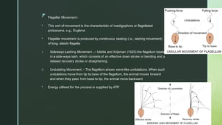 Different methods of Locomotion in Protozoa.pptx