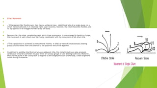 Locomotion in protozoa details explain all type with pictures... | PPT