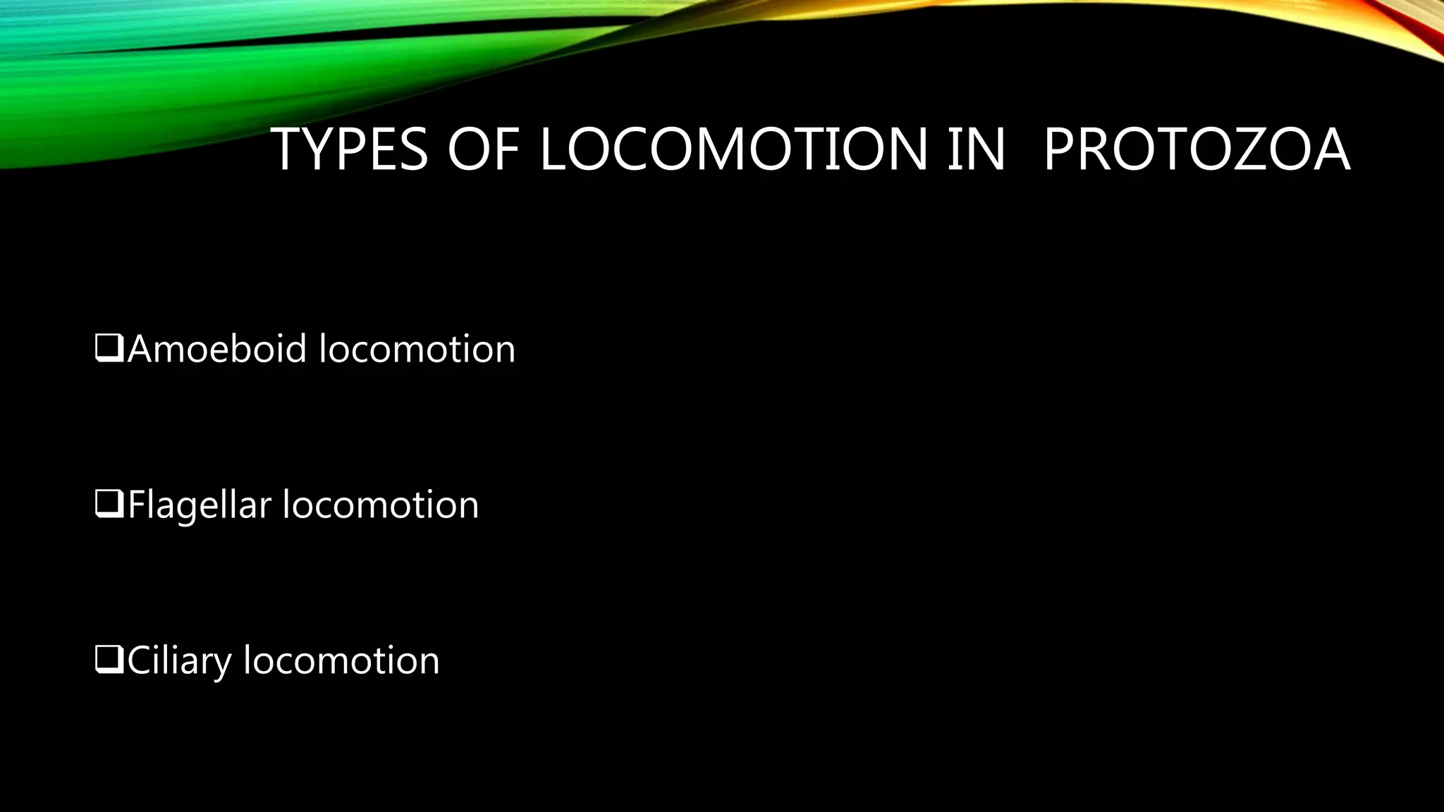 Locomotion in protozoa sj | PPTX | Biological Sciences | Science