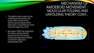 Locomotion in protozoa sj | PPTX