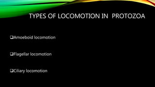 Locomotion in protozoa sj | PPTX