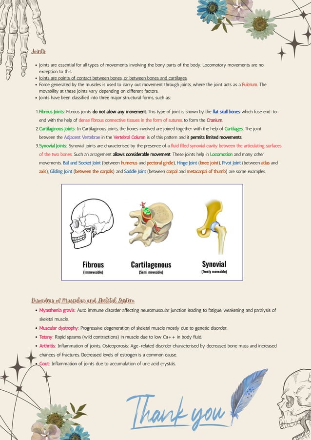 Locomotion and Movement Class 11th CBSE NCERT | PDF