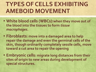 Locomotion of cell | PPTX