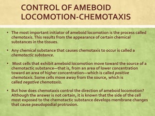 Locomotion of cell | PPTX