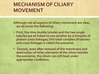 Locomotion of cell | PPTX