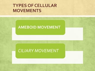 Locomotion of cell | PPTX