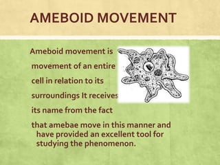 Locomotion of cell | PPTX