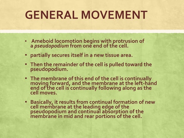 Locomotion of cell | PPTX