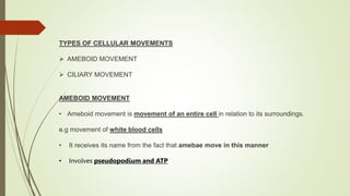 Locomotion of cells | PPT