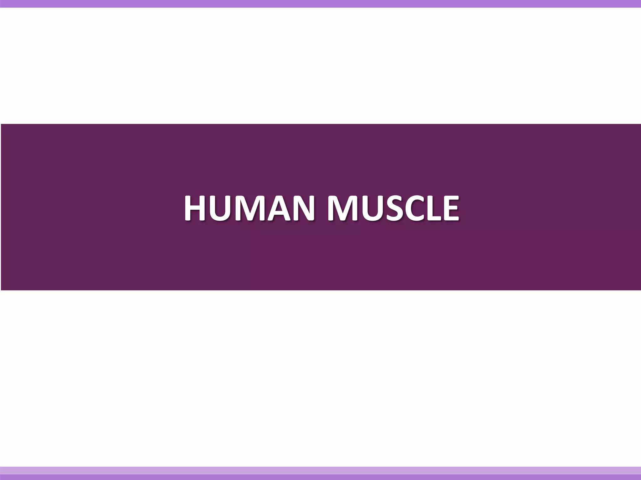 Biology Form 5 Chapter 2 - Locomotion & support : 2.1 Part 2 | PPT