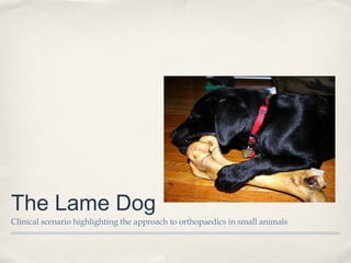 Locomotor - Orthopaedic Disease in Animals - The Lame Dog Case Study | PPT