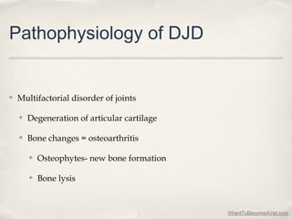 Locomotor - Orthopaedic Disease in Animals - The Lame Dog Case Study | PPT
