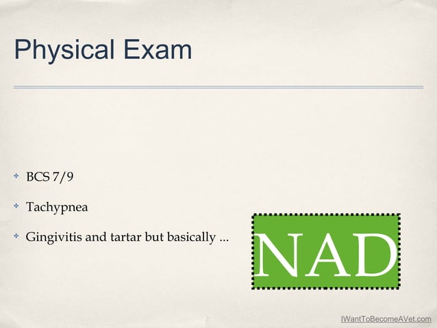 Locomotor - Orthopaedic Disease in Animals - The Lame Dog Case Study | PPT