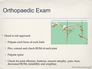 Locomotor - Orthopaedic Disease in Animals - The Lame Dog Case Study | PPT