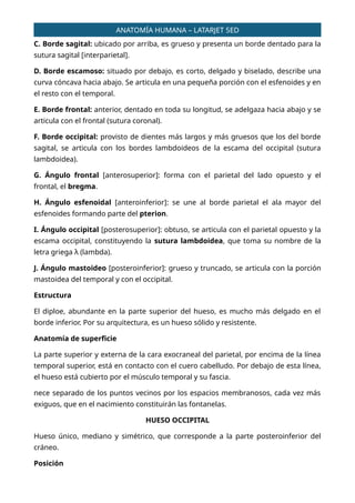 APARATO LOCOMOTOR-ANATOMIA DE LATARJET.docx