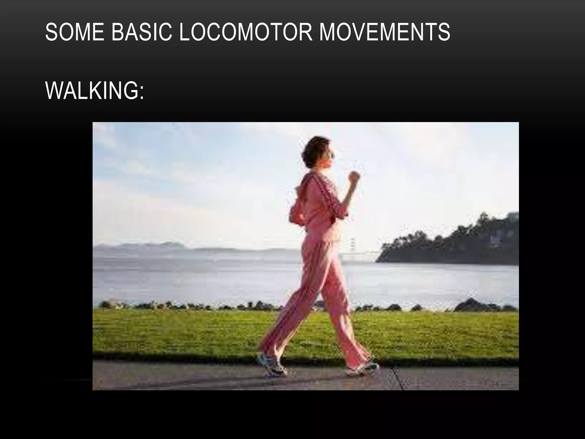 Locomotor activities | PPTX