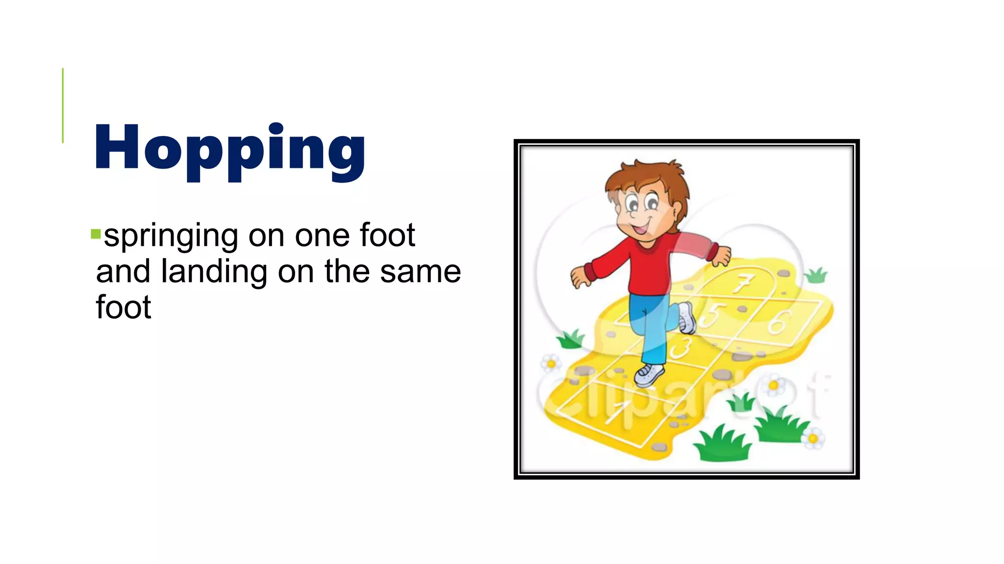 Locomotor and Non-locomotor Movements | PPTX