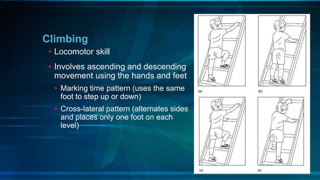 Locomotor and Non-Locomotor Skills | PPTX | Track and Field | Sports