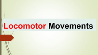 Locomotor Movements | PPTX