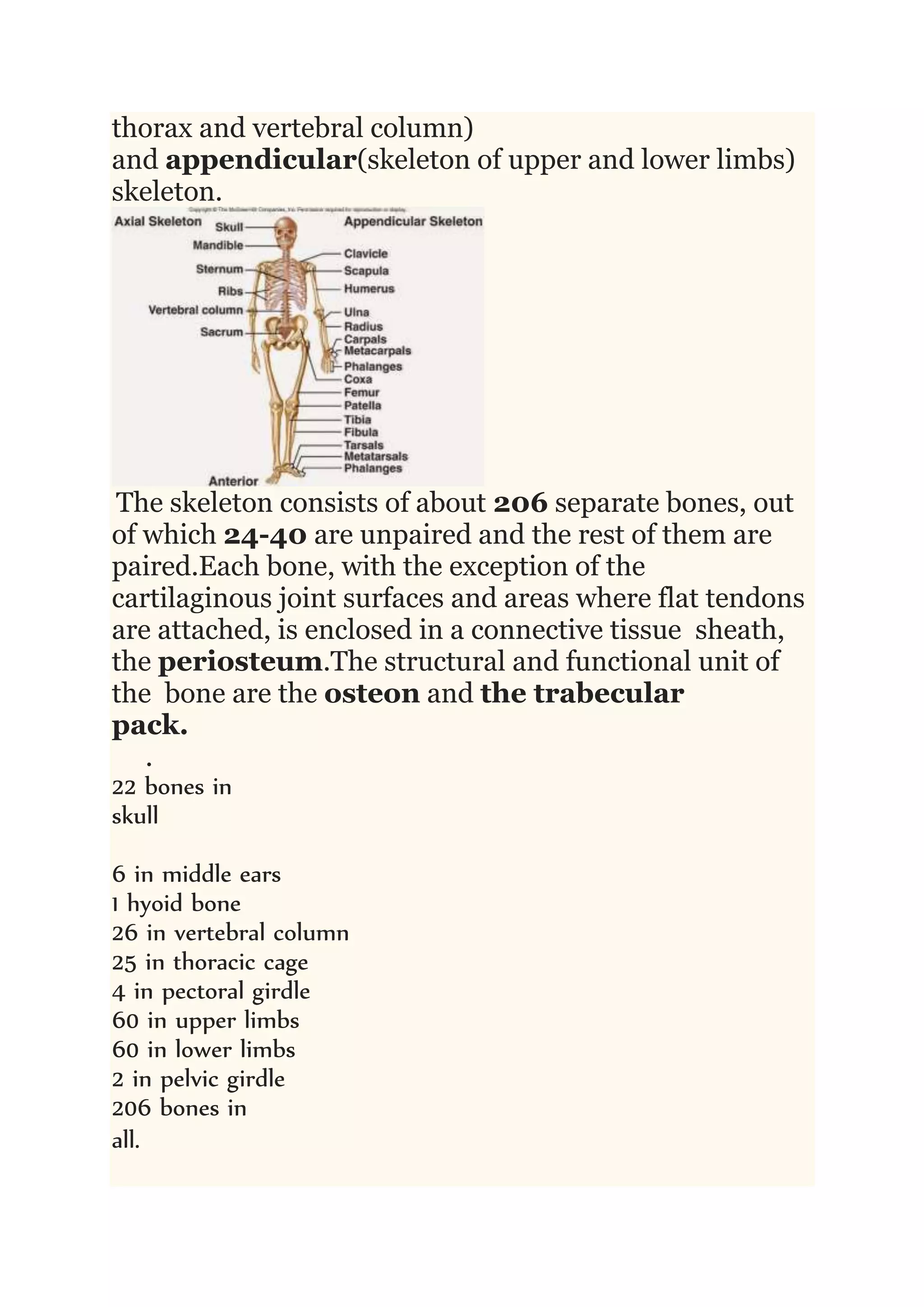 Locomotor system | DOCX