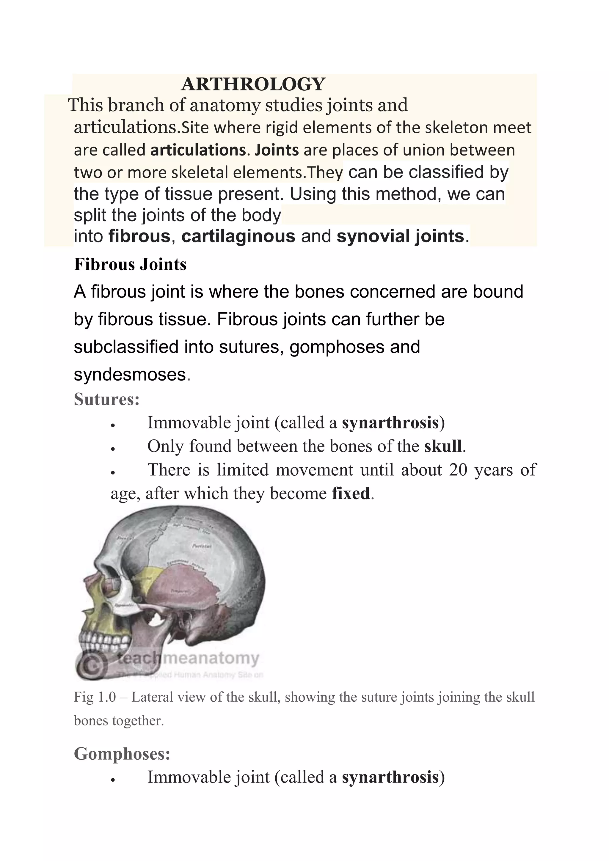 Locomotor system | DOCX
