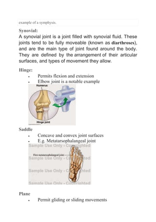 Locomotor system | DOCX