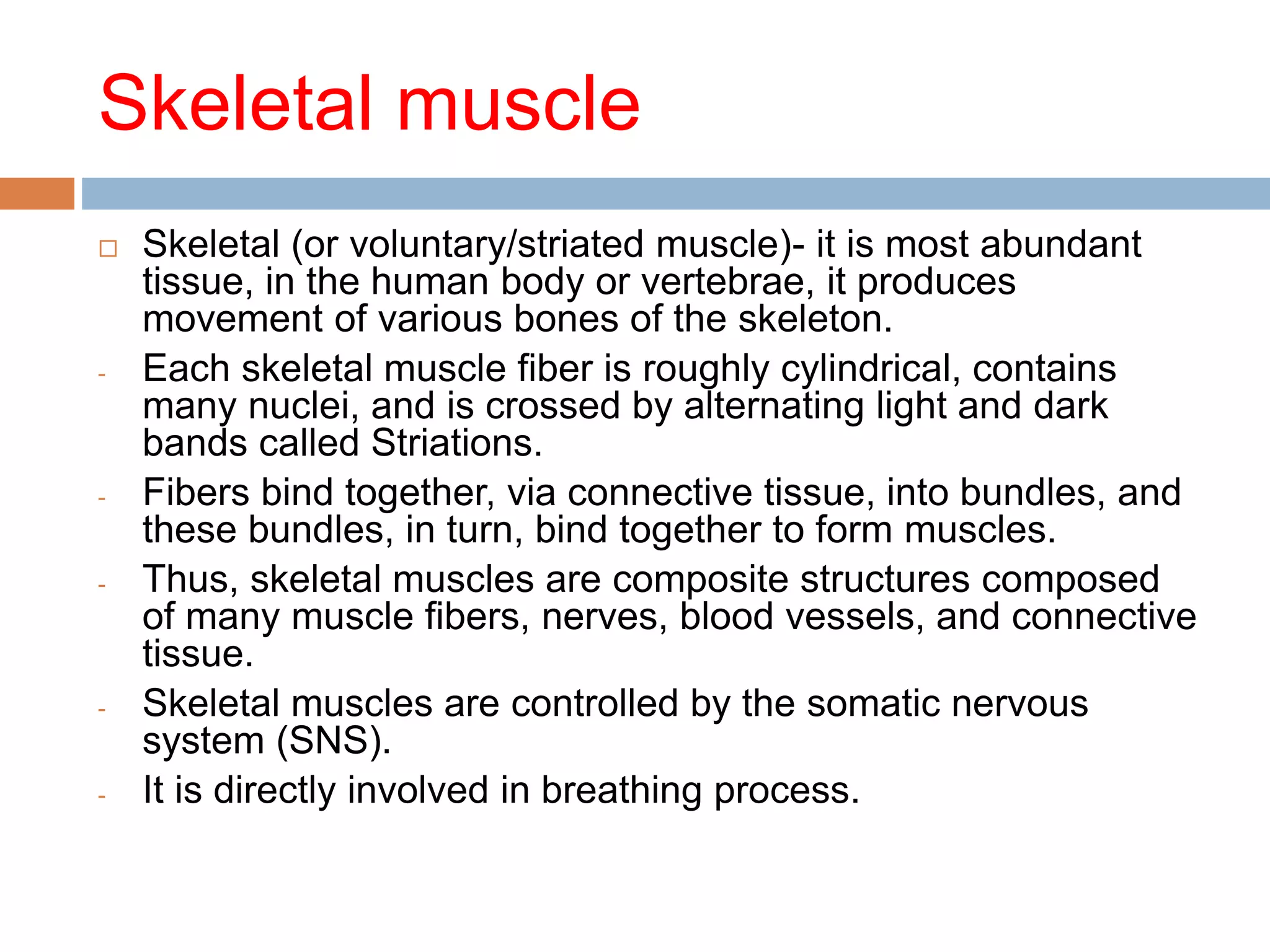 Locomotor system | PPTX