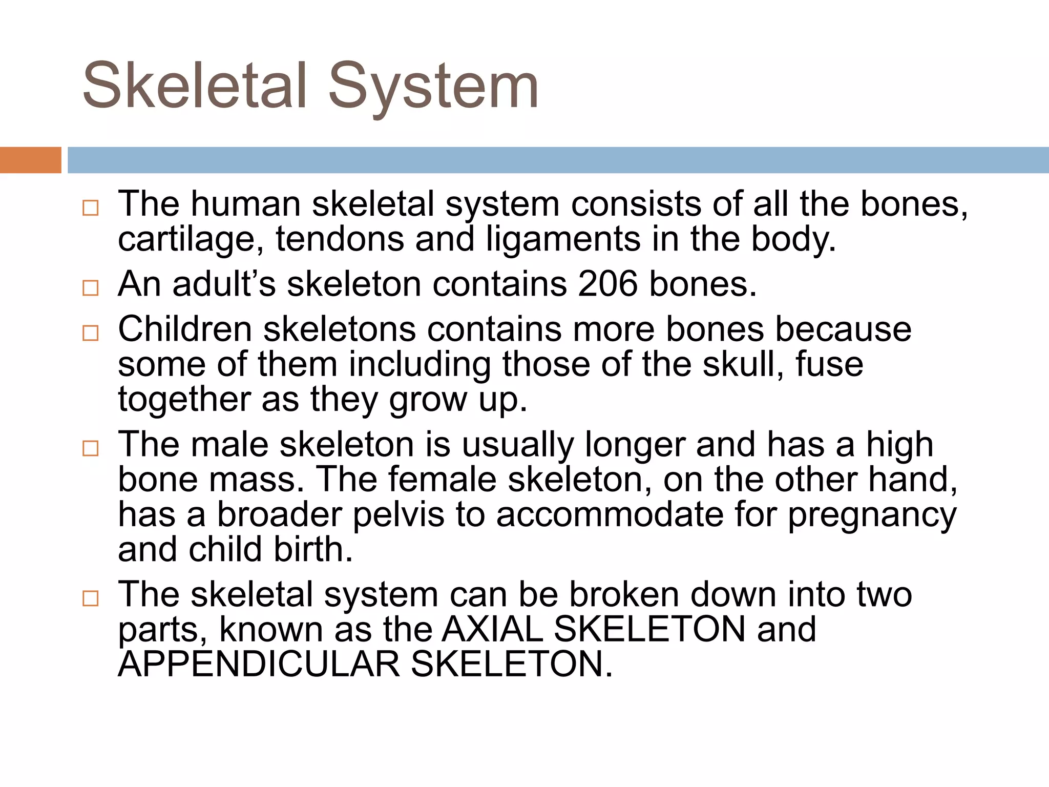 Locomotor system | PPTX