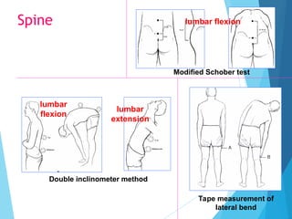 Locomotor system.pptgghfhufuufuffufuufuufuf | PPT