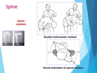 Locomotor system.pptgghfhufuufuffufuufuufuf | PPT