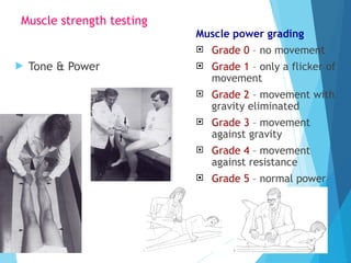Locomotor system.pptgghfhufuufuffufuufuufuf | PPT