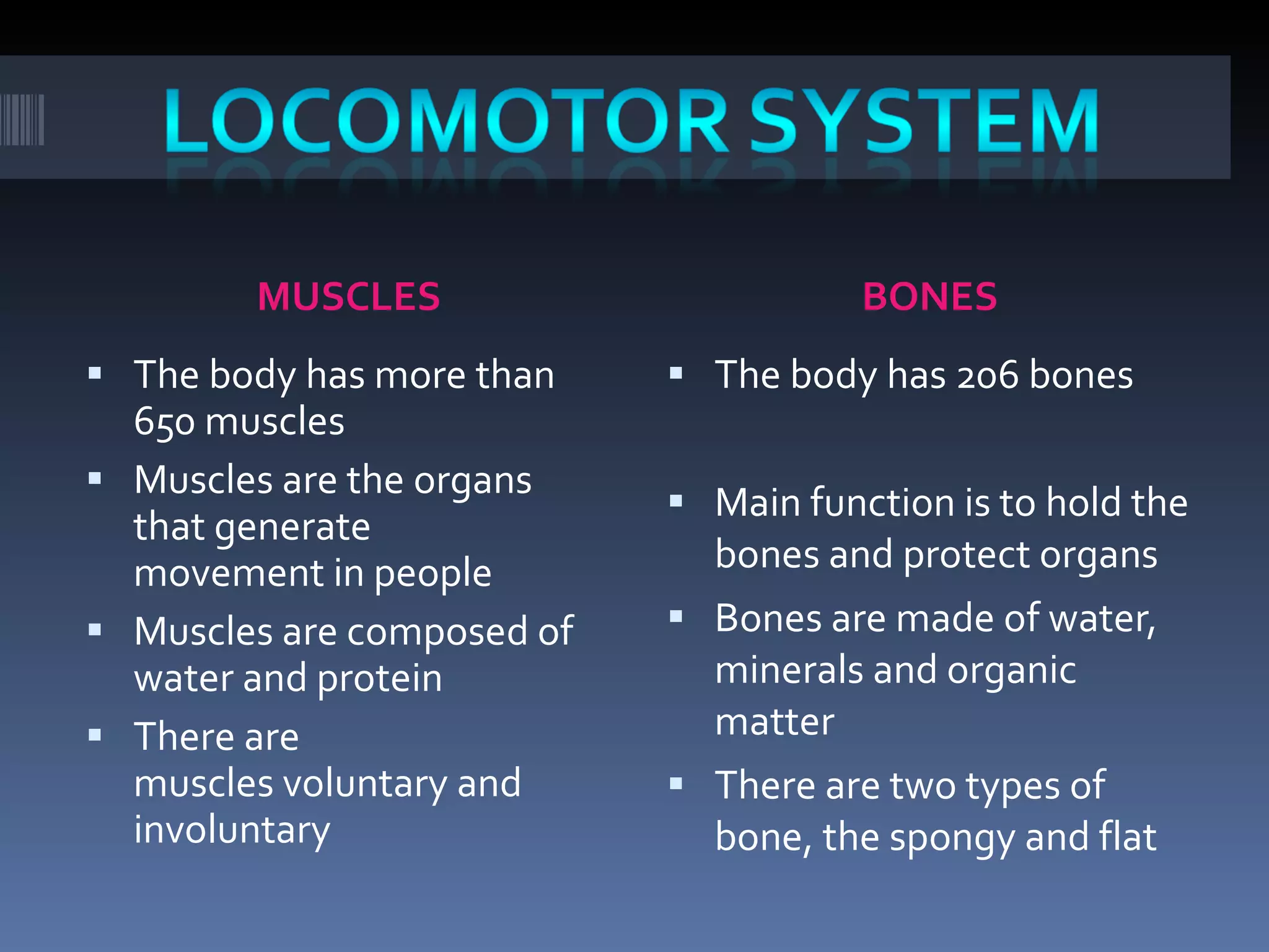 Locomotor System | PPT