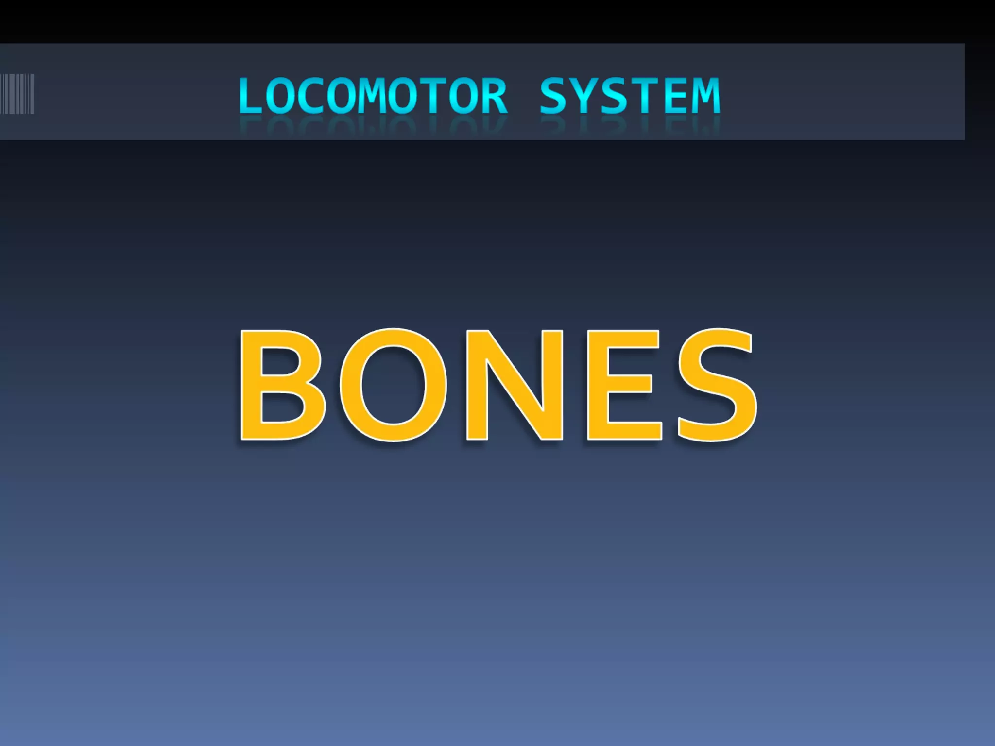 Locomotor System | PPT